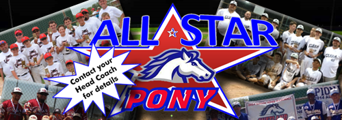 All-Star Information