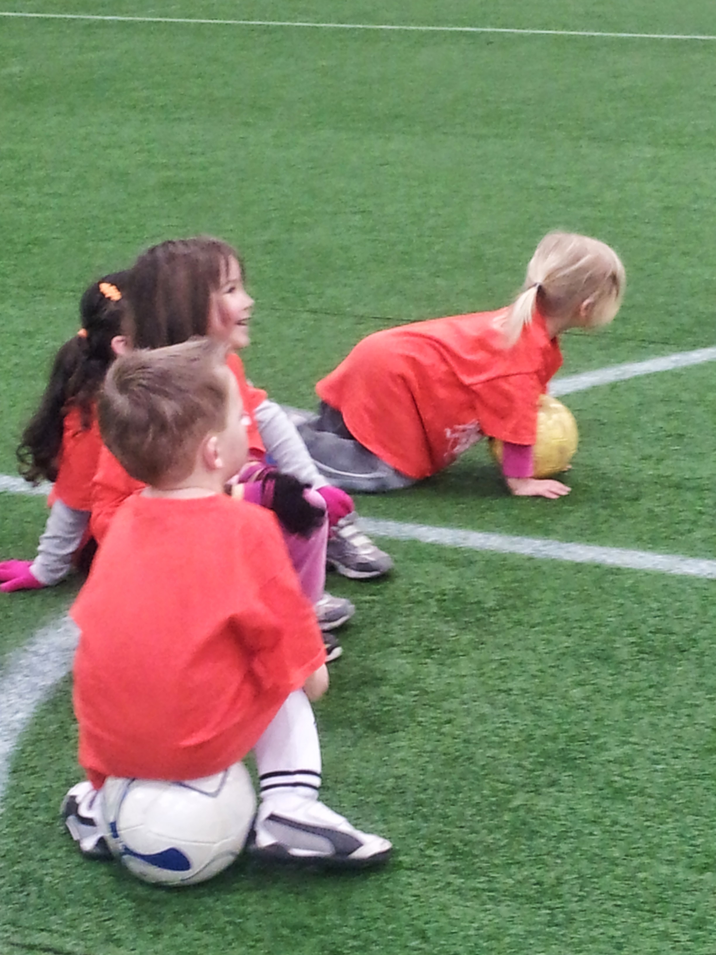 North Indoor Soccer - Tiny Tots & Mighty Mites