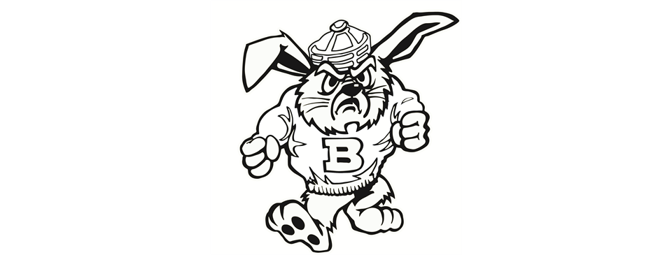 Junior Bunnies Omaha > Home